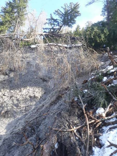 Murenabgang in Faggen